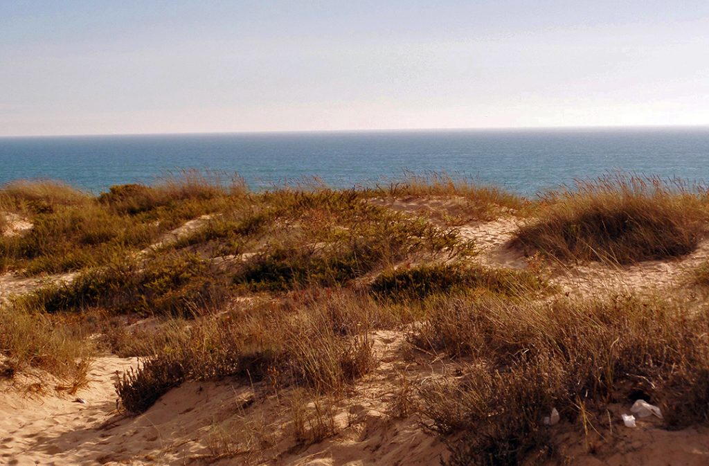 PORTUGAL: Ser livre na Praia 19 (Costa da Caparica)