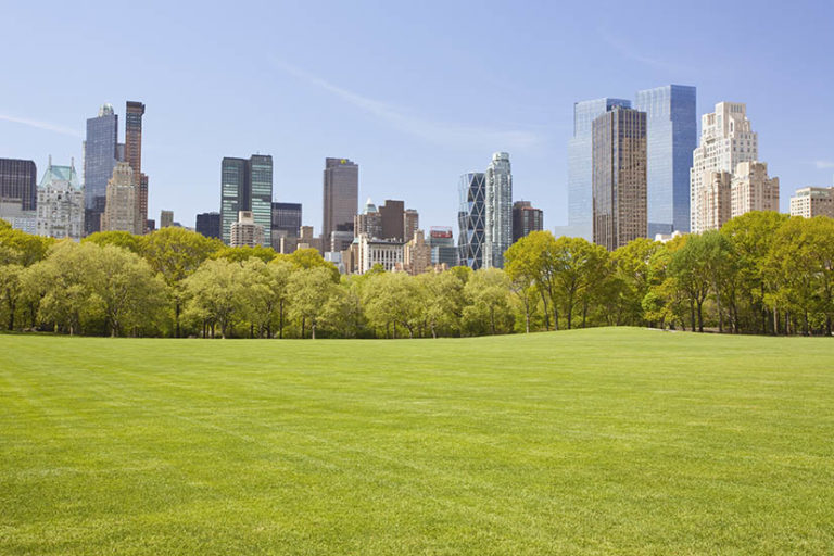Central Park, Nova York: tudo o que você precisa saber! - Estrangeira